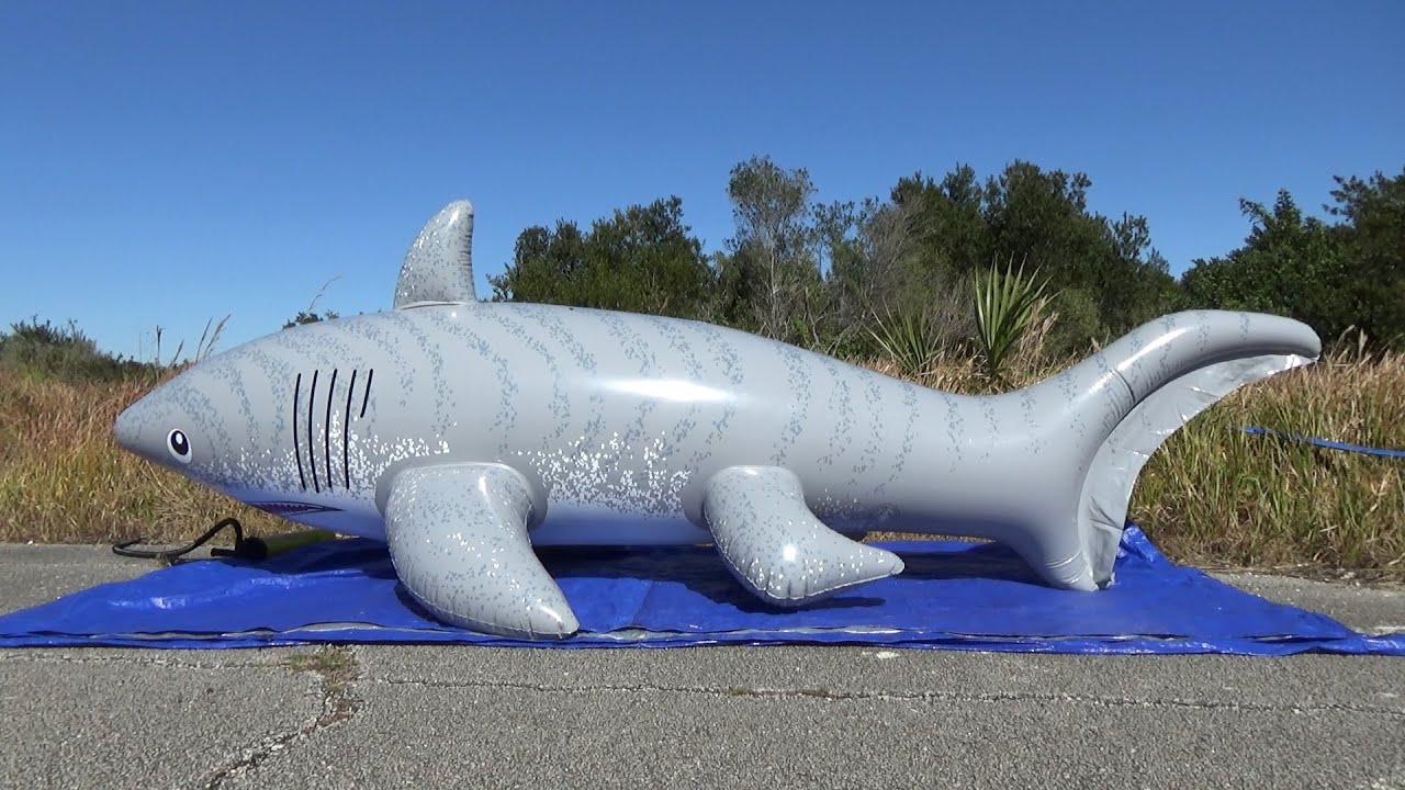 Life Size Inflatable Shark Ride-On Pool Toy from Inflatable World - YouTube