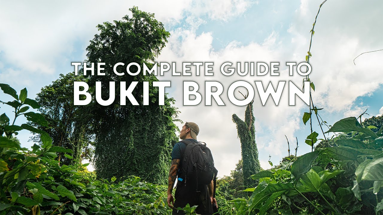Bukit Brown Trail Hiking Guide: Secret Hiking Trail off The Rail ...