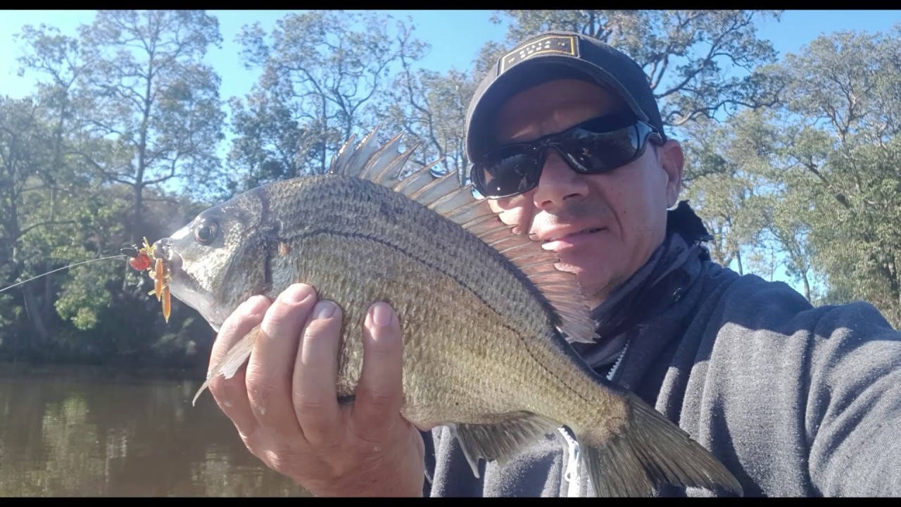Murray River Bream - Testing the new kayak! - YouTube