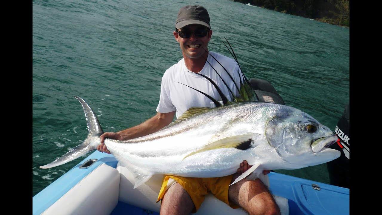 Huge rooster fish popper Enorme poisson coq - YouTube