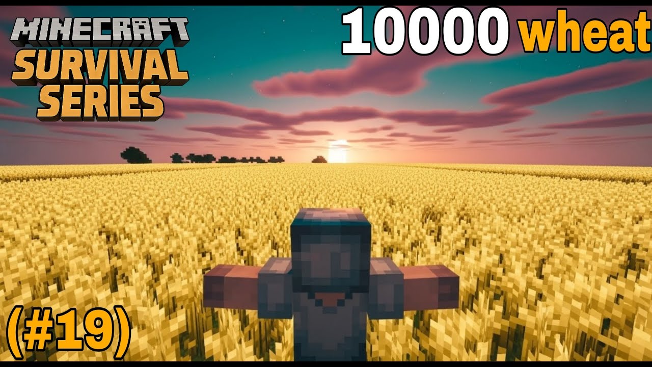 Farming 10000 Wheat : Survival Farm Challenge In Minecraft (#19) In ...