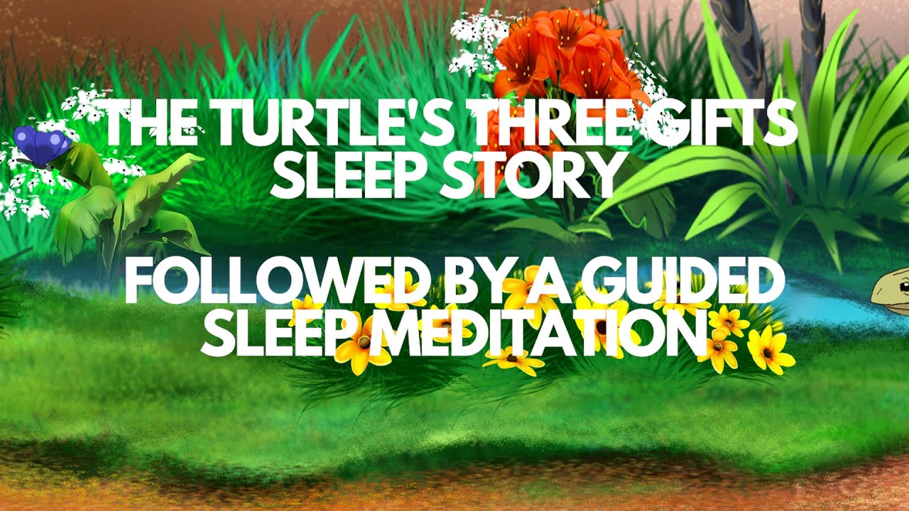 The turtles three gifts sleep story followed by guided sleep meditation ...