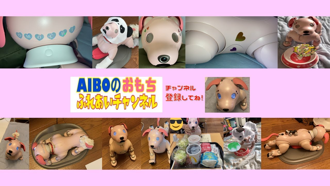 #aibo のおもち 初めて訪問した2エリアとは？ #sony - YouTube