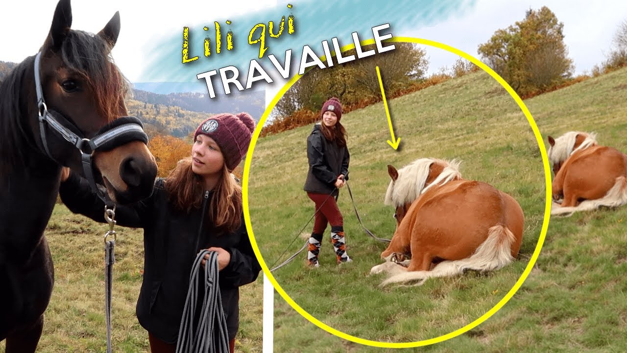 On longe LES JUMENTS, on ramène LES VACHES et on frôle LES CHASSEURS 😡 ...