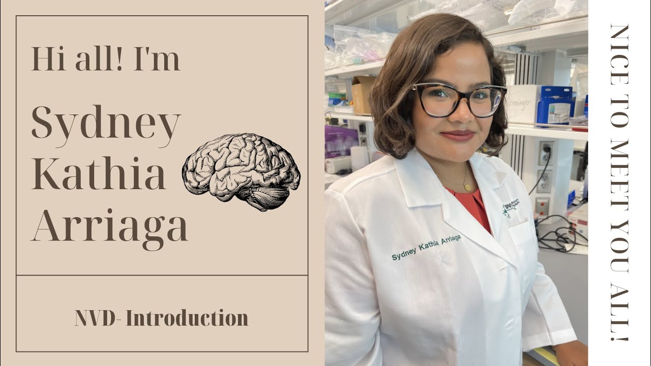 NVD Introduction - YouTube