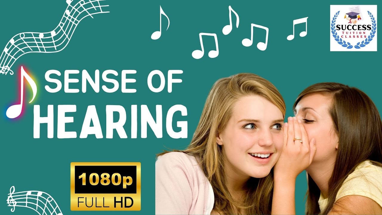 EAR | SENSORY ORGAN | HEARING | SENSE OF HEARING - YouTube