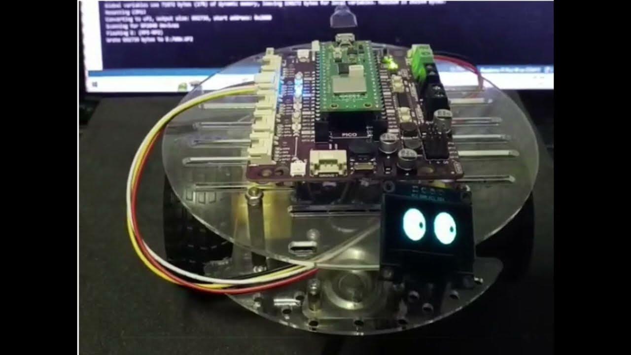 Cytron Robo Pico: Simplifying Robotics for Raspberry Pi Pico / Pico W. OLED Demo - YouTube