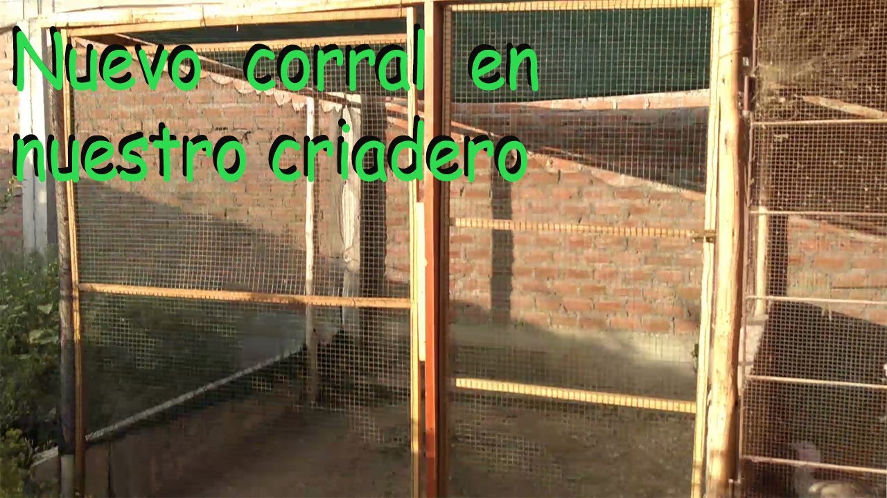 NUEVO CORRAL EN EL CRIADERO facil y rapido * como hacer gallinero para ...