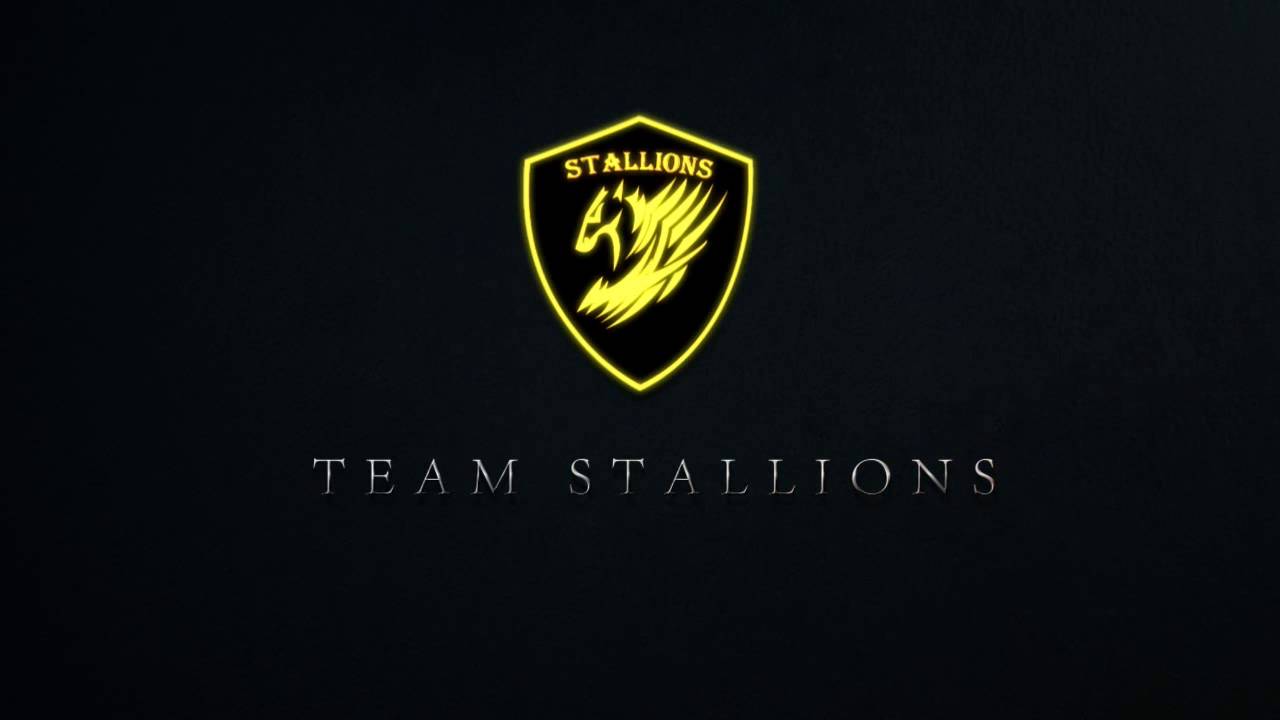 Stallion Logo