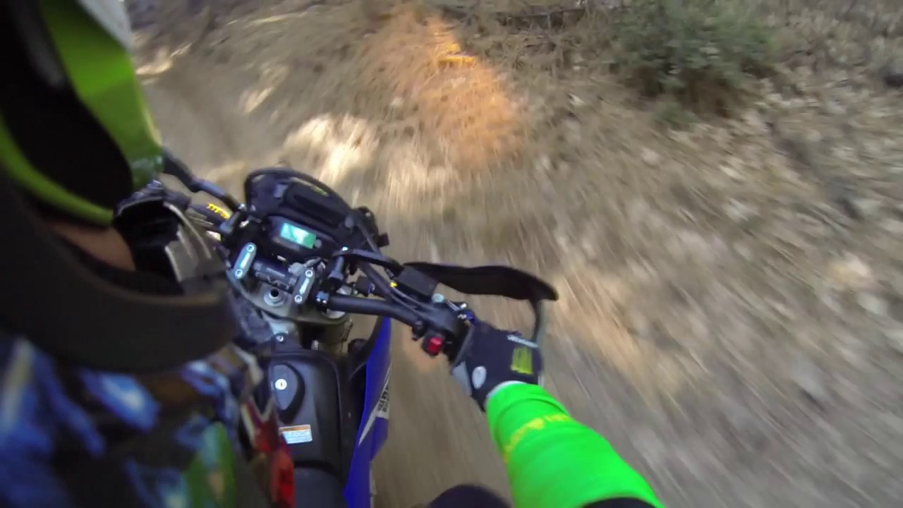 AWESOME Tree Climb Crash!! - YouTube