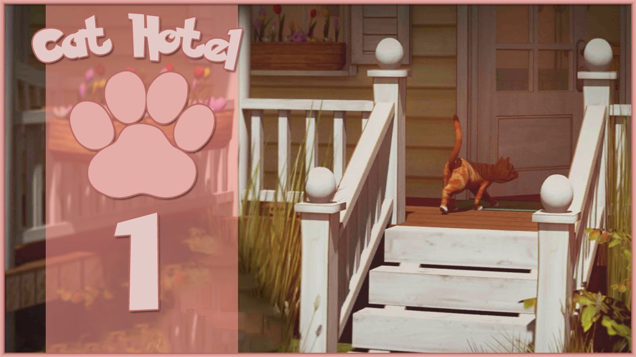 Welcome to the Cat Hotel! || Cat Hotel - Episode #1 - YouTube