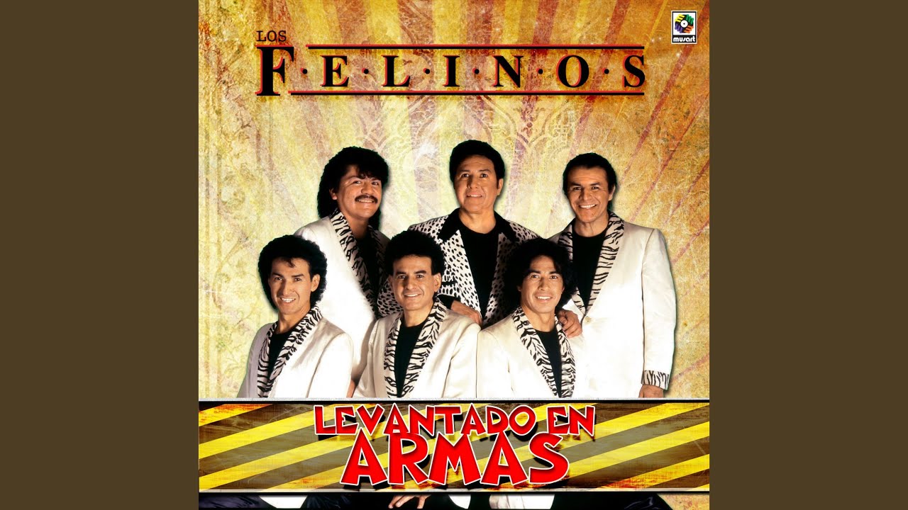 Dos Palomas Al Volar - YouTube