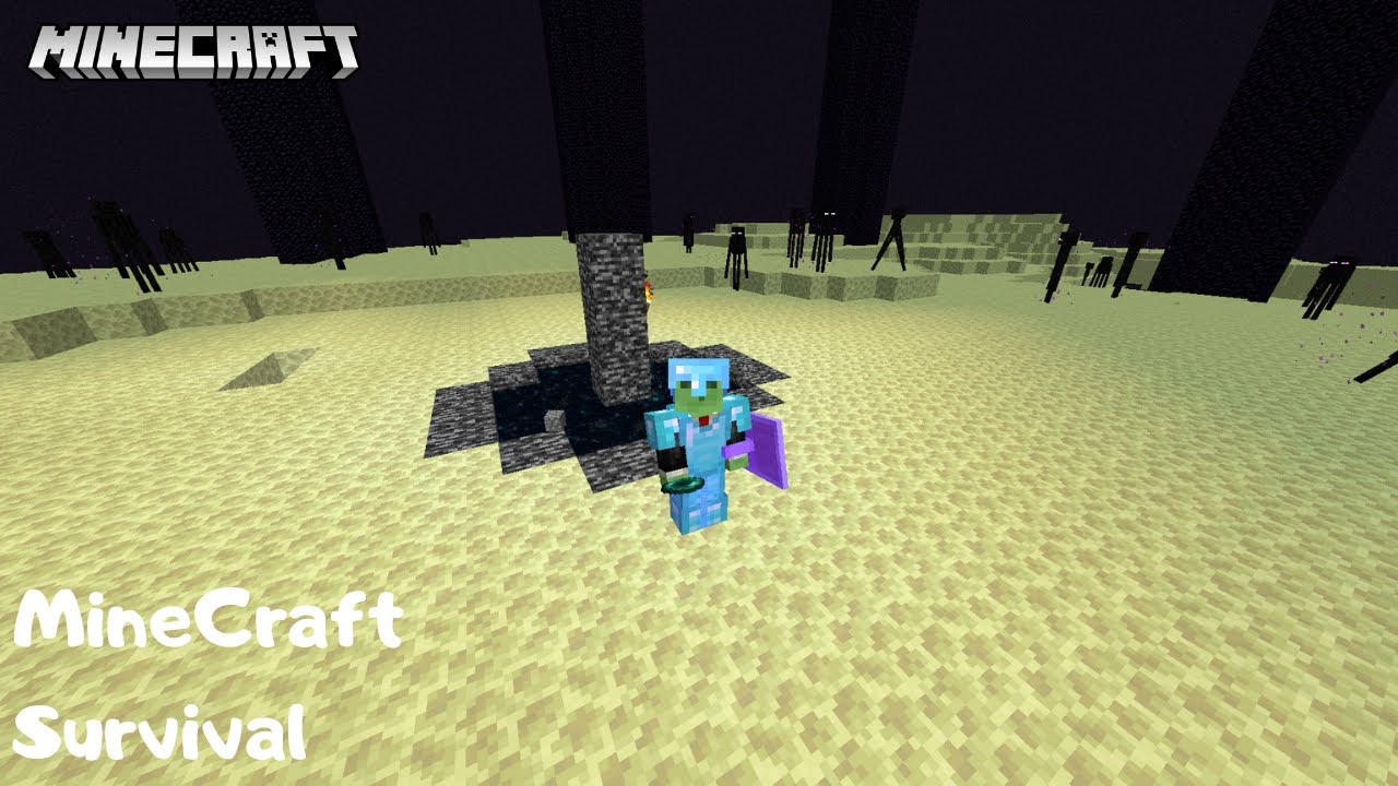 The End?? (Minecraft Survival Part 13) #Minecraft - YouTube