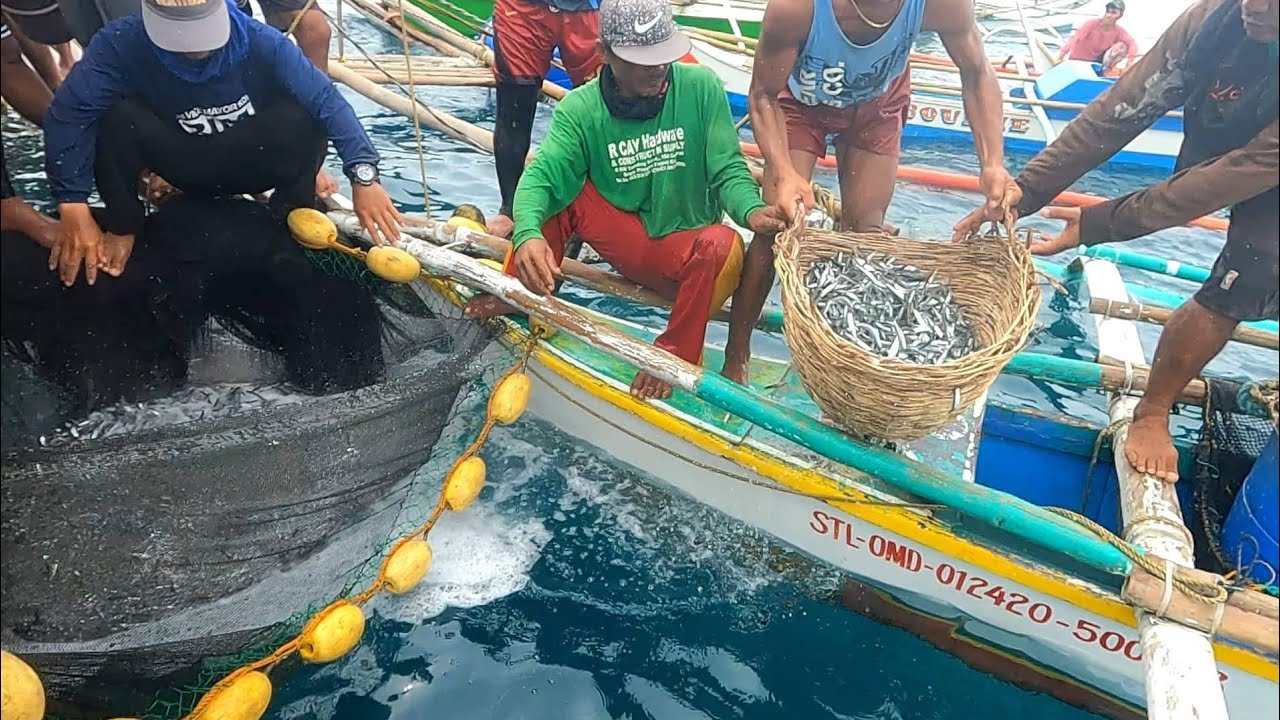 Nakulong ang maraming dilis - YouTube