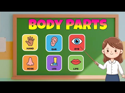 Human Body Parts | Learn Body Parts | Learn Body Part Name |Learn for ...