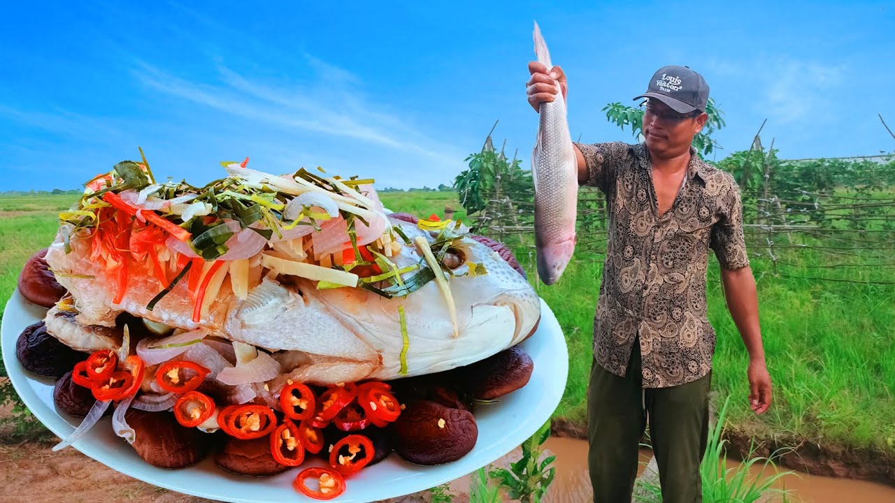 Smallscale Mud Carp Fish | Delicious Fish Recipe Cooking in Village ...