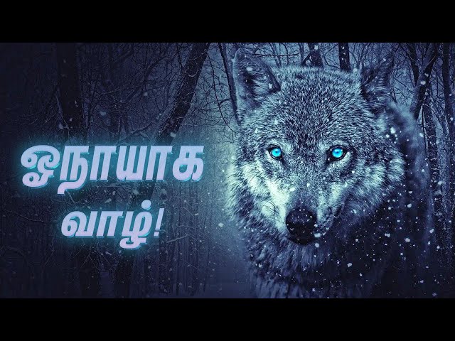 Nambikkai Dhrogi Quotes நம்பிக்கை