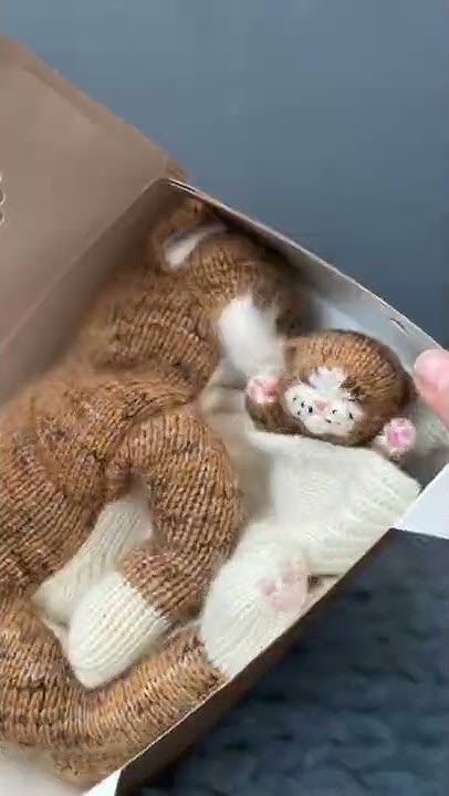 Семья котиков спицами из пряжи ручного крашения (описание кота от Клэр ...