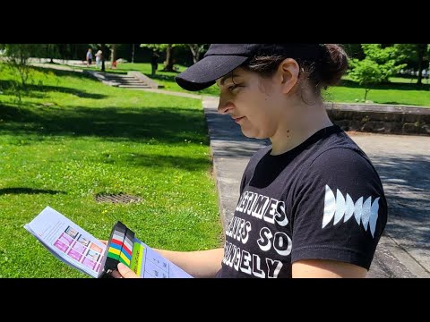 Troy: Slate of the Union - YouTube
