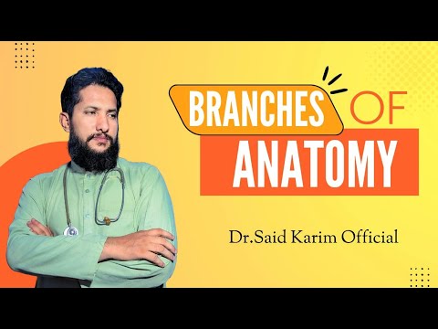 Branches of Human Anatomy lecture by(Dr said Karim) - YouTube