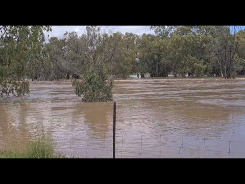 Namoi river Narrabri | Fast Flowing Flood water - YouTube