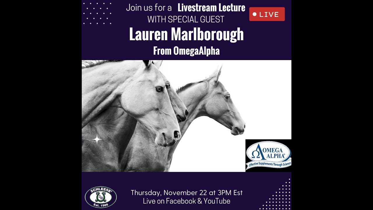 Livestream Guest Lecture: Lauren Marlborough from Omega Alpha - YouTube