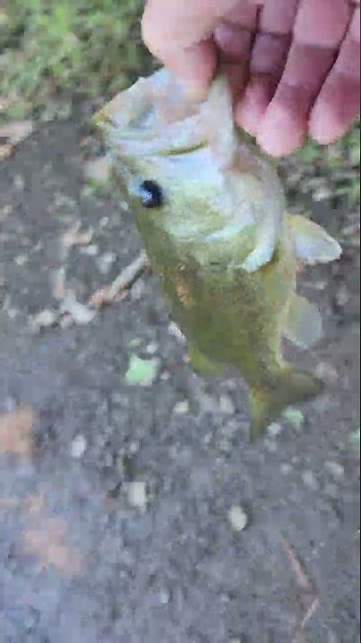 2 Fer friday - YouTube