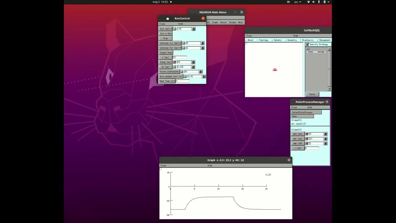 Tutorial de uso de simulador NEURON, mediante GUI. Neurociencia Básica ...