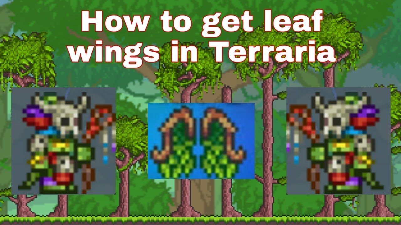 How To Get Leaf Wings In Terraria Mobile 1 3 YouTube how-to-get-leaf-wings-in-terraria-mobile-1-3-youtube