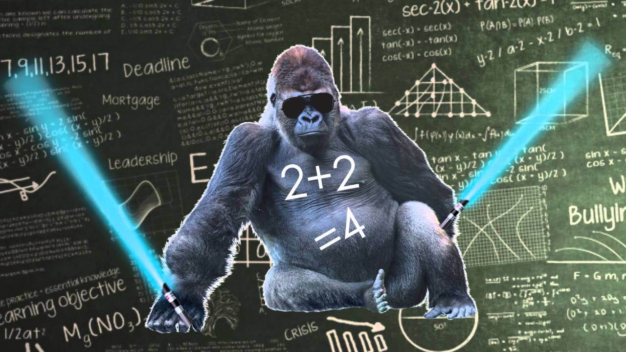 Take Four Years Of Math YouTube take-four-years-of-math-youtube