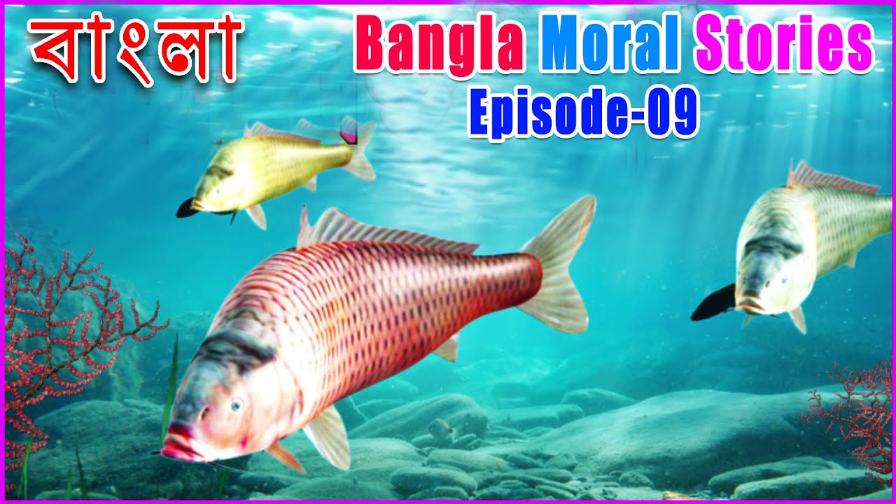 Bangla Fairy Tales Collection -9 l বাংলা নৈতিক গল্প l Moral Stories for ...