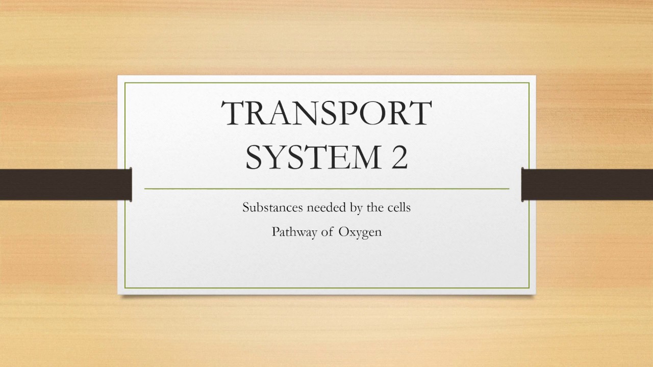 TRANSPORT SYSTEM 2 Pathway of Oxygen - YouTube