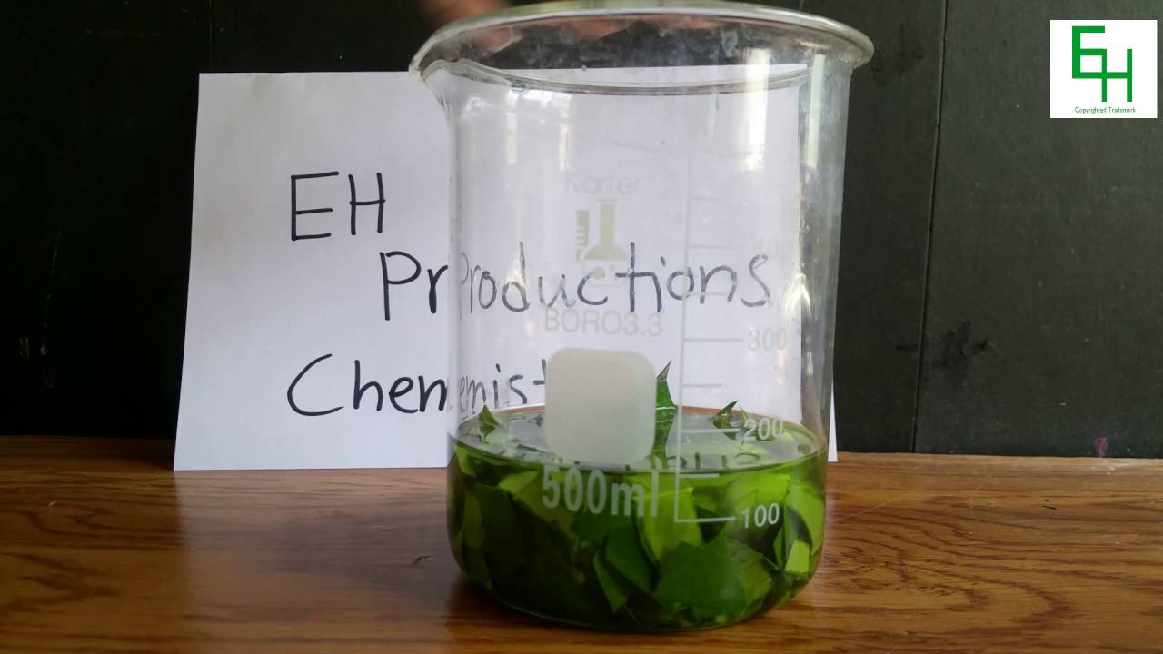 Extract Chlorophyll (For Science, Not For Eating) - YouTube