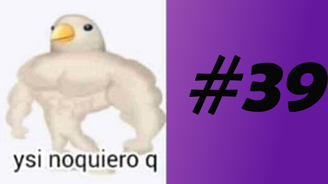 Shitposting compilation | Videos random | Memes | Video graciosos #39 - YouTube