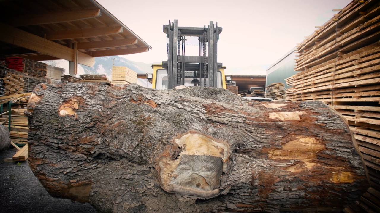 Holz Marberger - natürlich gewachsen - YouTube