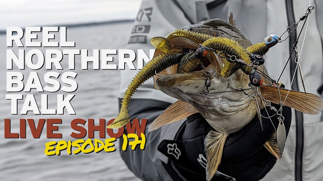 A-rig Fishing for Bass with Jody White - Reel Northern Bass Talk ...