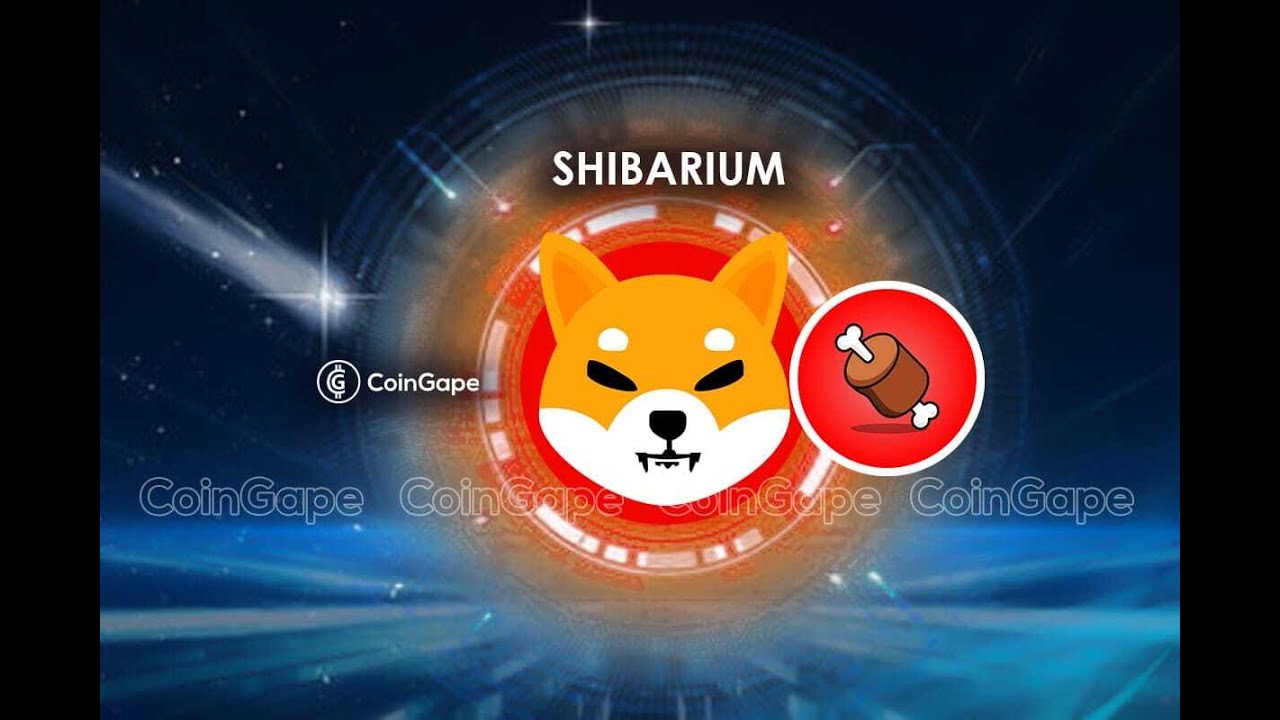 Bone ShibaSwap (BONE) - Análise de hoje, 13/10/2023! #SHIB #shibainu # ...