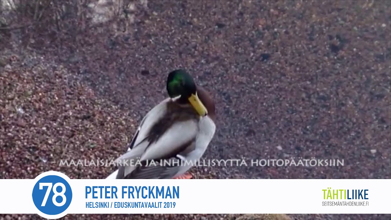 Peter Fryckman - Itsenäinen itsekäs Suomi pärjää Euroopassa ja ...