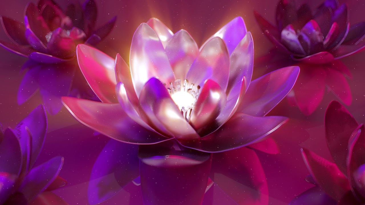 Particles Flower - Particles Overlay | Flower Particles Overlay - YouTube