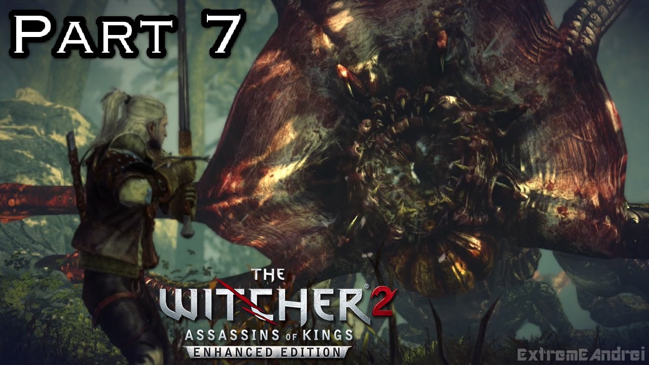 The Witcher 2 Enhaced Edition Xbox360 Gameplay Walkthrough Part 7 - YouTube