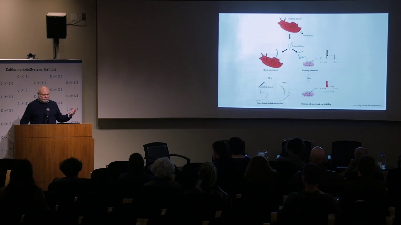 Sensing The Invisible: The Art & Science of a Cell - David Glanzman, Ph ...
