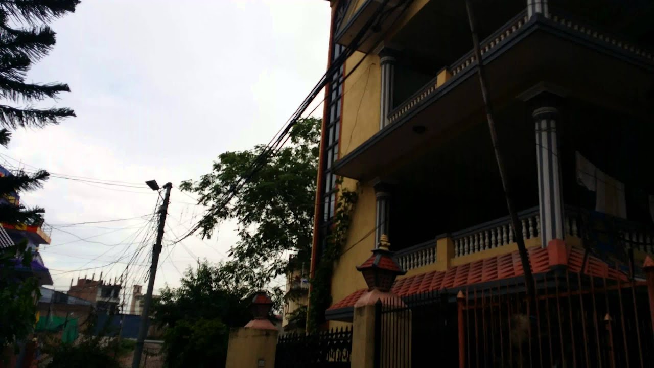 yangya home 3 - YouTube