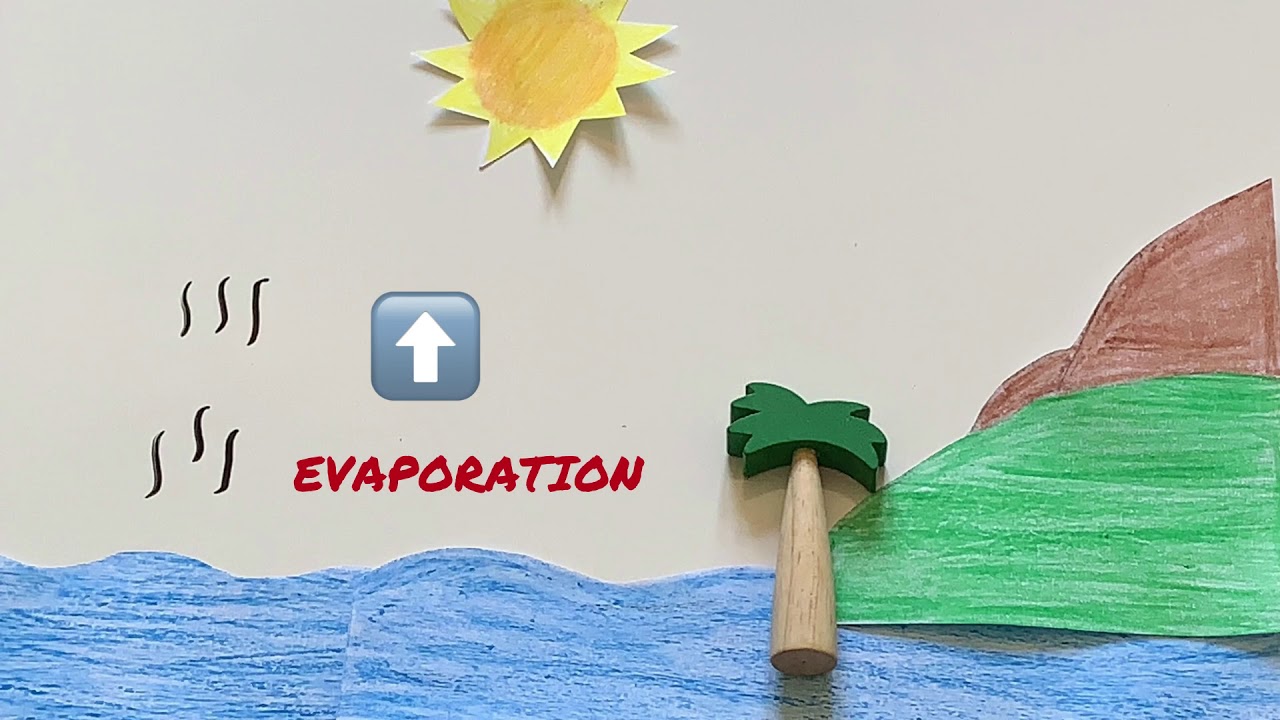 Water Cycle - Stop Motion - YouTube
