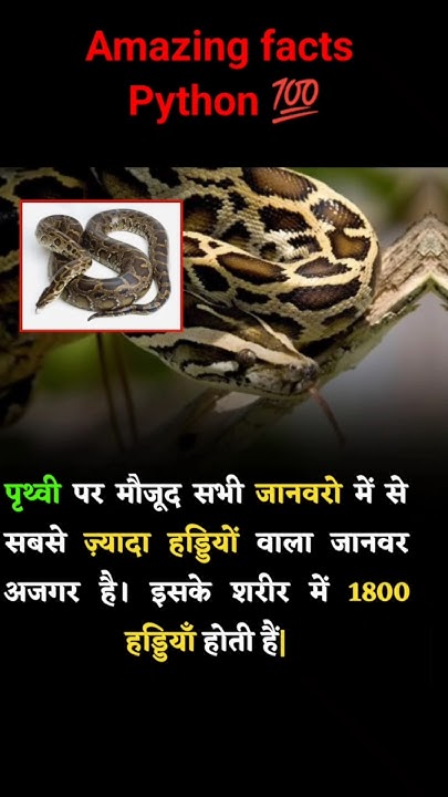 Amazing facts about Python #shorts #youtubeshorts #viralshorts - YouTube