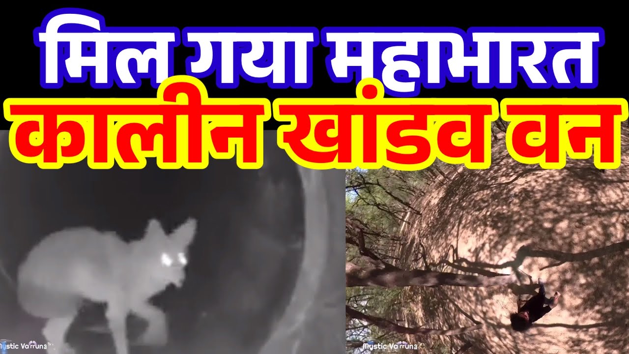 Mil gya Khandav Van || 5500 Years Old Mahabharat Era “Khandav Van ...