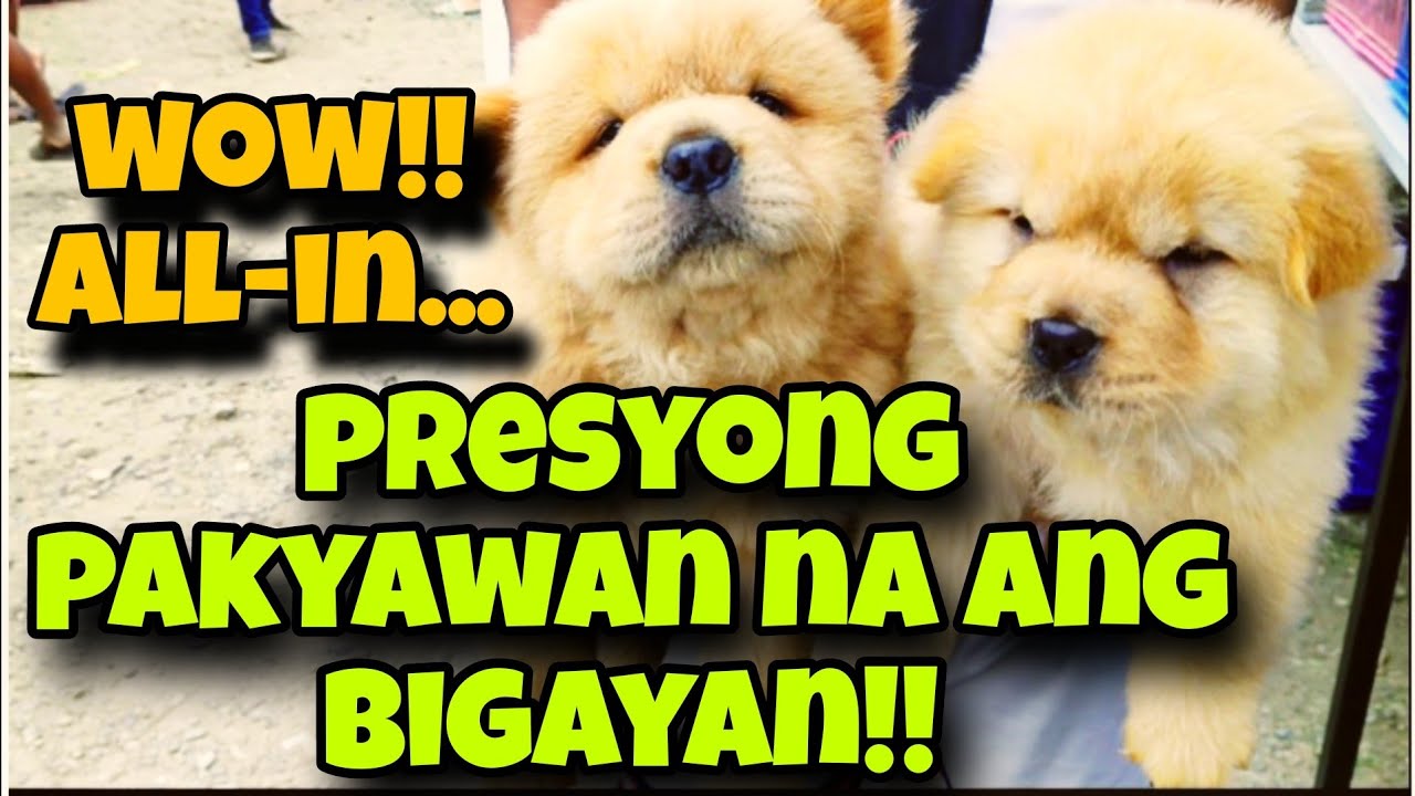 PAKYAWAN ANG PRESYUHAN SA BOCAUE PER MARKET January 19, 2024 - YouTube