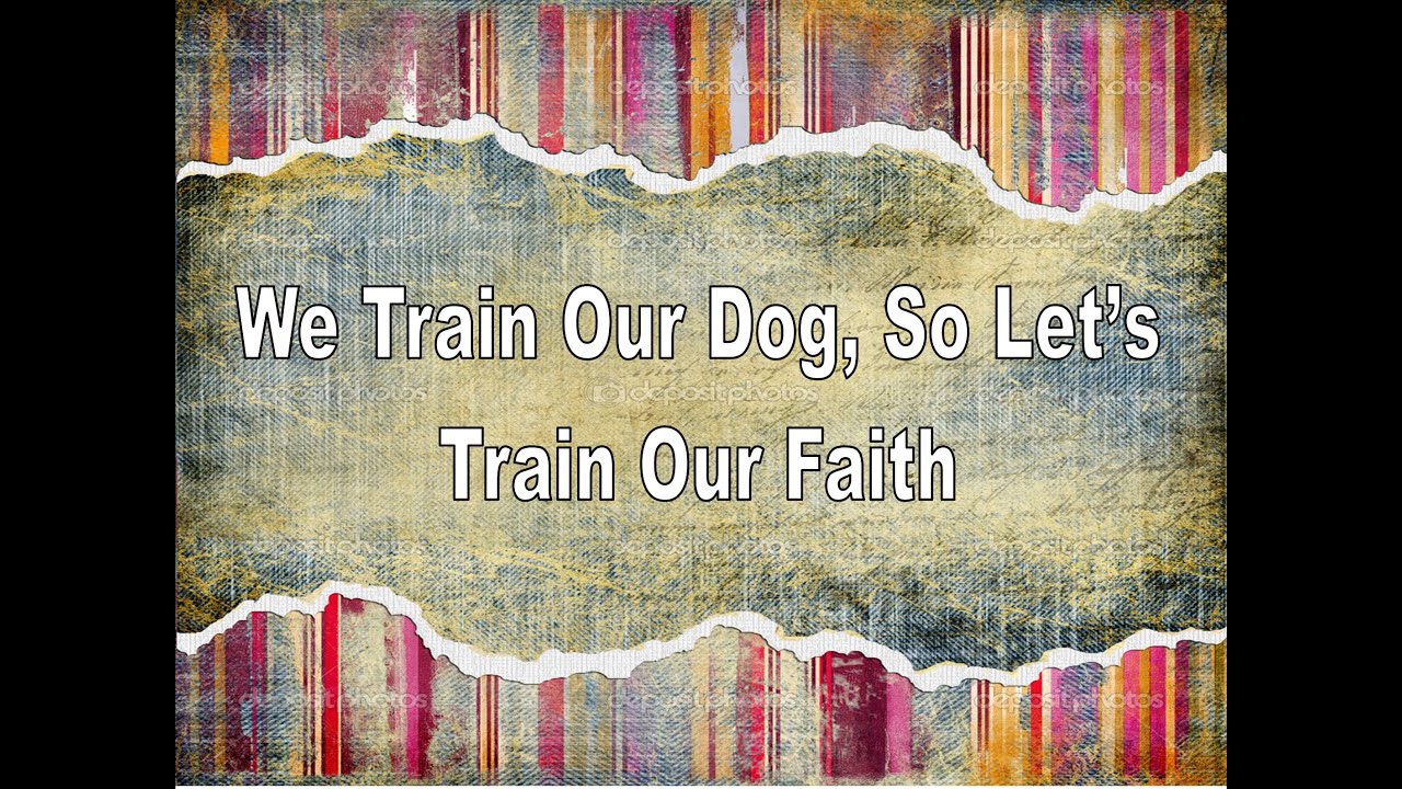 We Train Our Dog, So Let’s Train Our Faith | August 21, 2016 - YouTube
