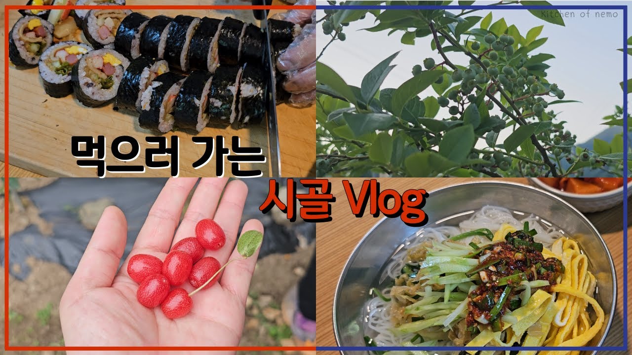 현생 생존기 남이 해주는 집밥🍚 먹으려고 노동🏃♀️하러 가요 소고기된찌 잔치국수 부추땡초전 제육볶음 묵은지김밥
