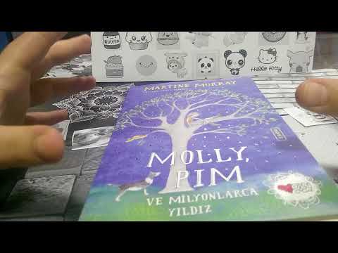 Molly, Pim ve milyonlarca yıldız kitap tanıtımı. Kanalımın ilk videosu.