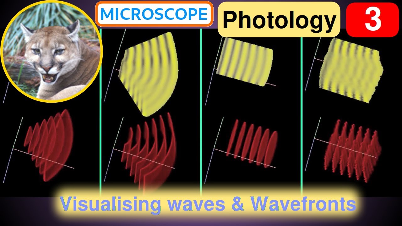 Photology 3: Representing Waves and Wavefronts - YouTube